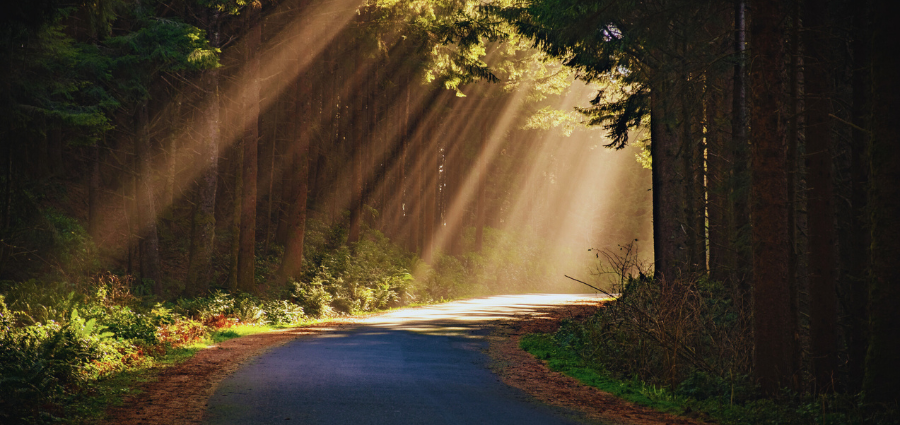 Transformative Path of Love - Weekday Homily Video Transformative Path of Love - Weekday Homily Video